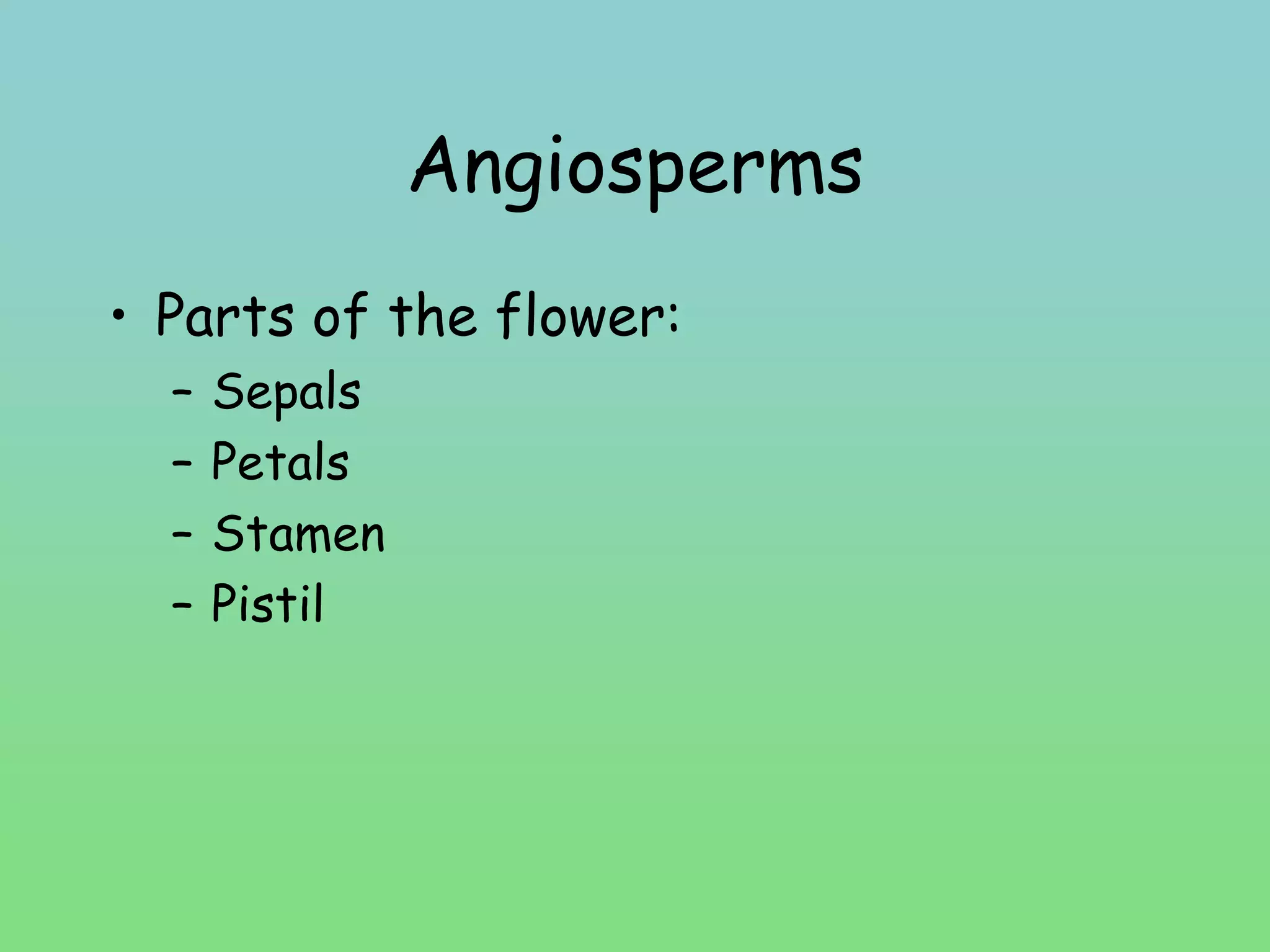 Angiosperms and Gymnosperms.ppt