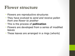 Angiosperms and reproduction | PPT