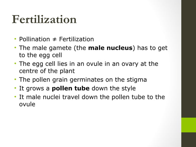 Angiosperms and reproduction | PPT | Gardening | Home & Garden