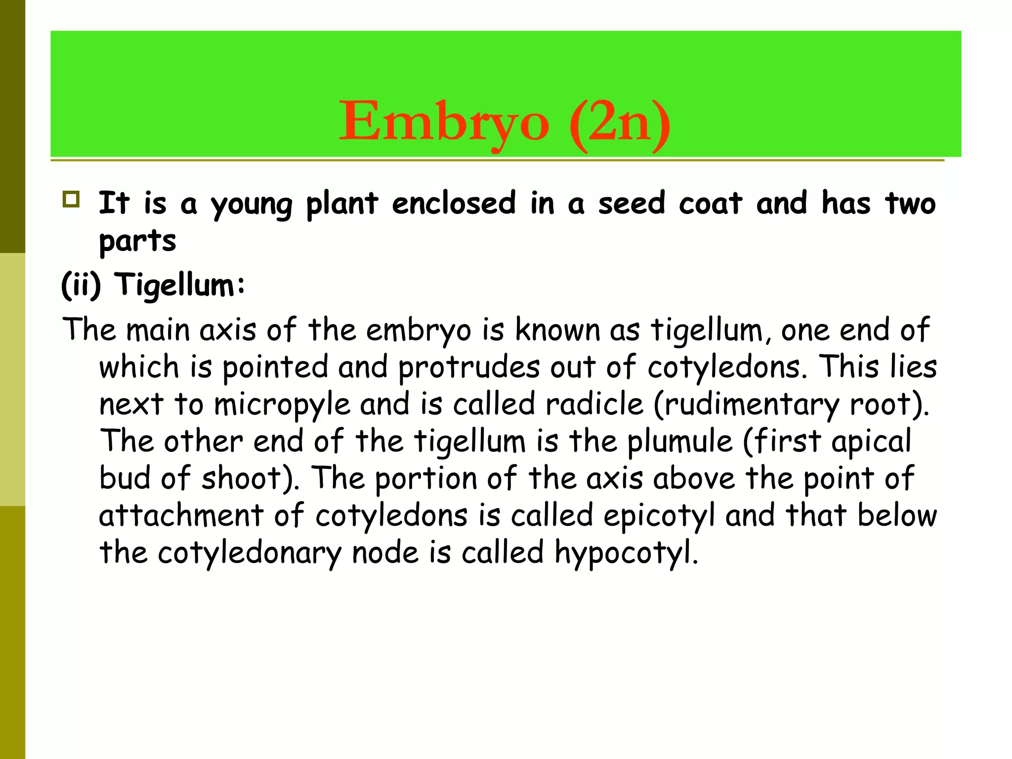 Angiosperm (seed formation and development) | PPT
