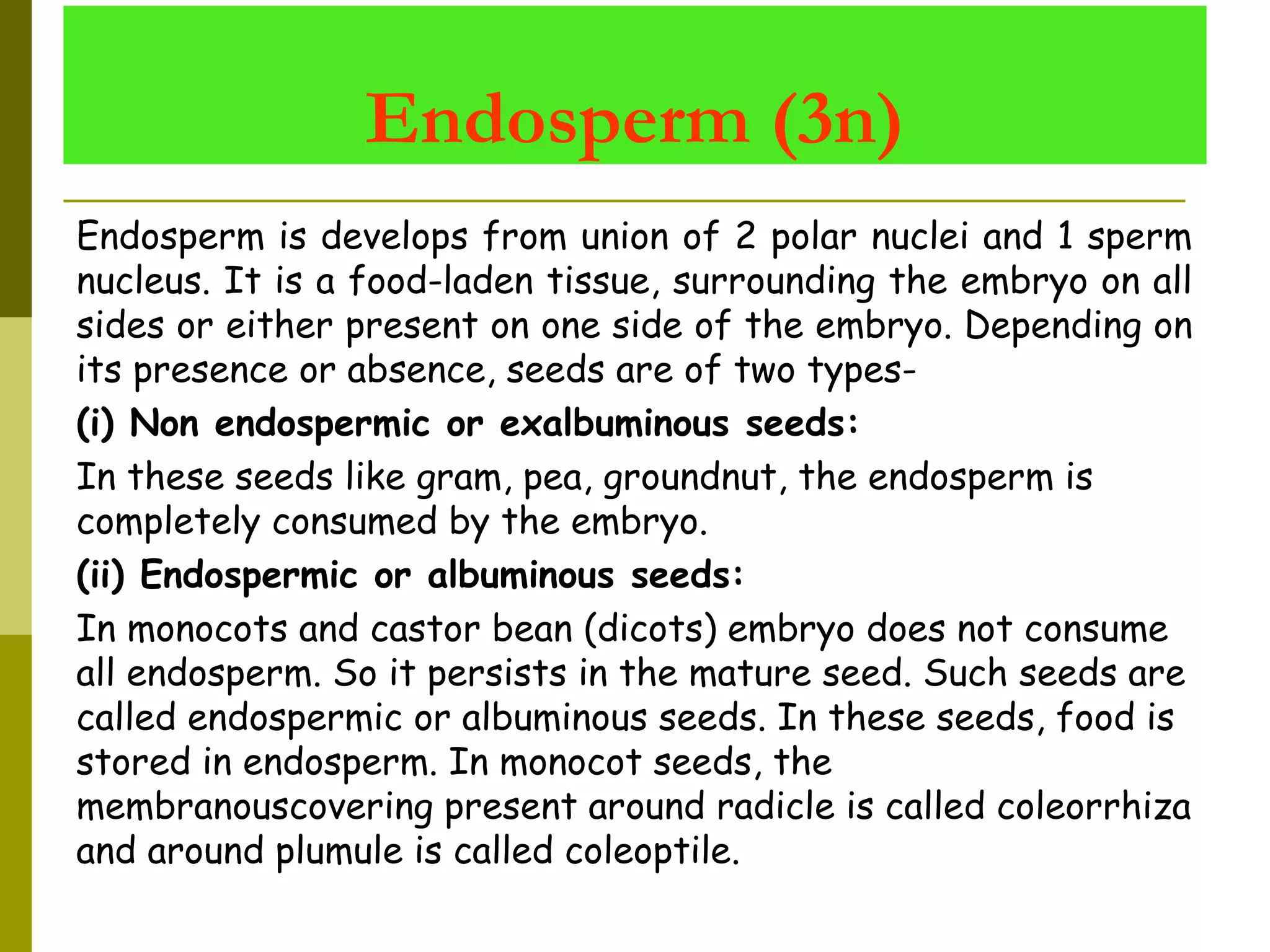 Angiosperm (seed formation and development) | PPT