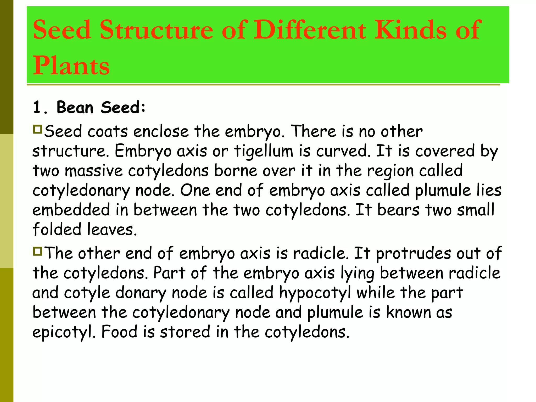 Angiosperm (seed formation and development) | PPT