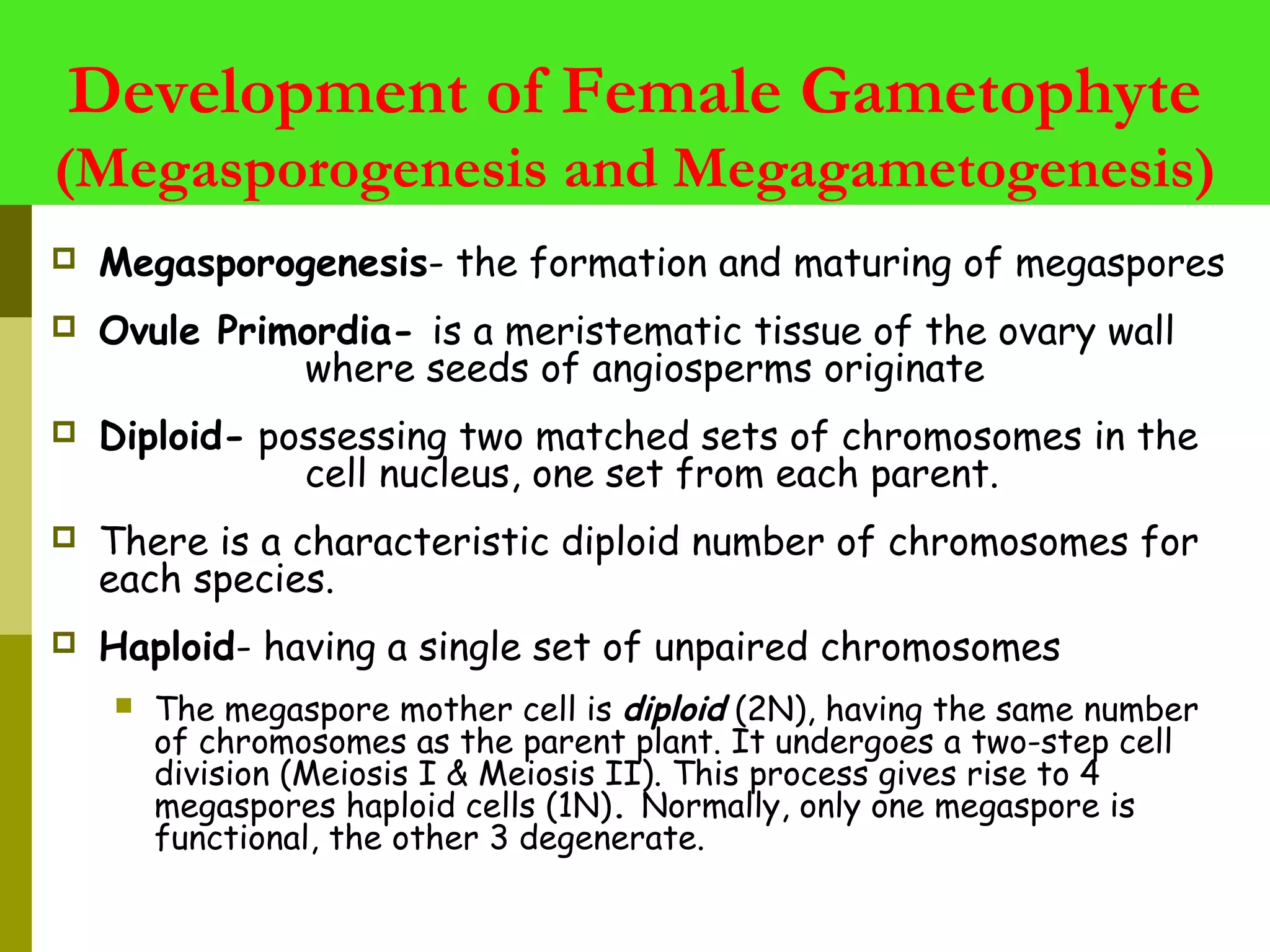 Angiosperm (seed formation and development) | PPT