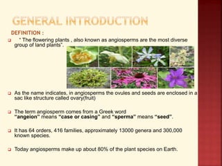Angiosperms Plants Names