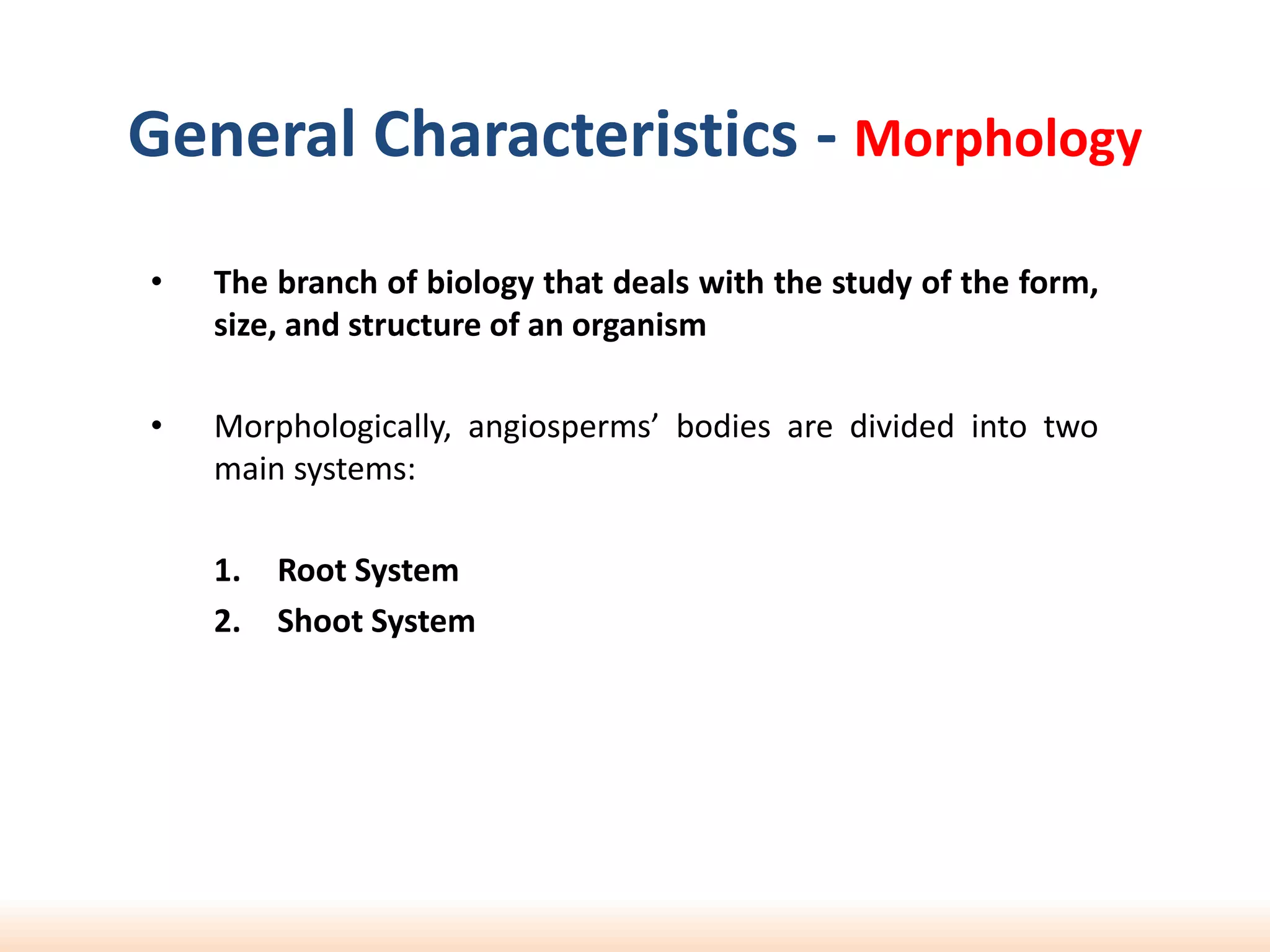 Angiosperms (flowering plants) PowerPoint Presentation | PPTX