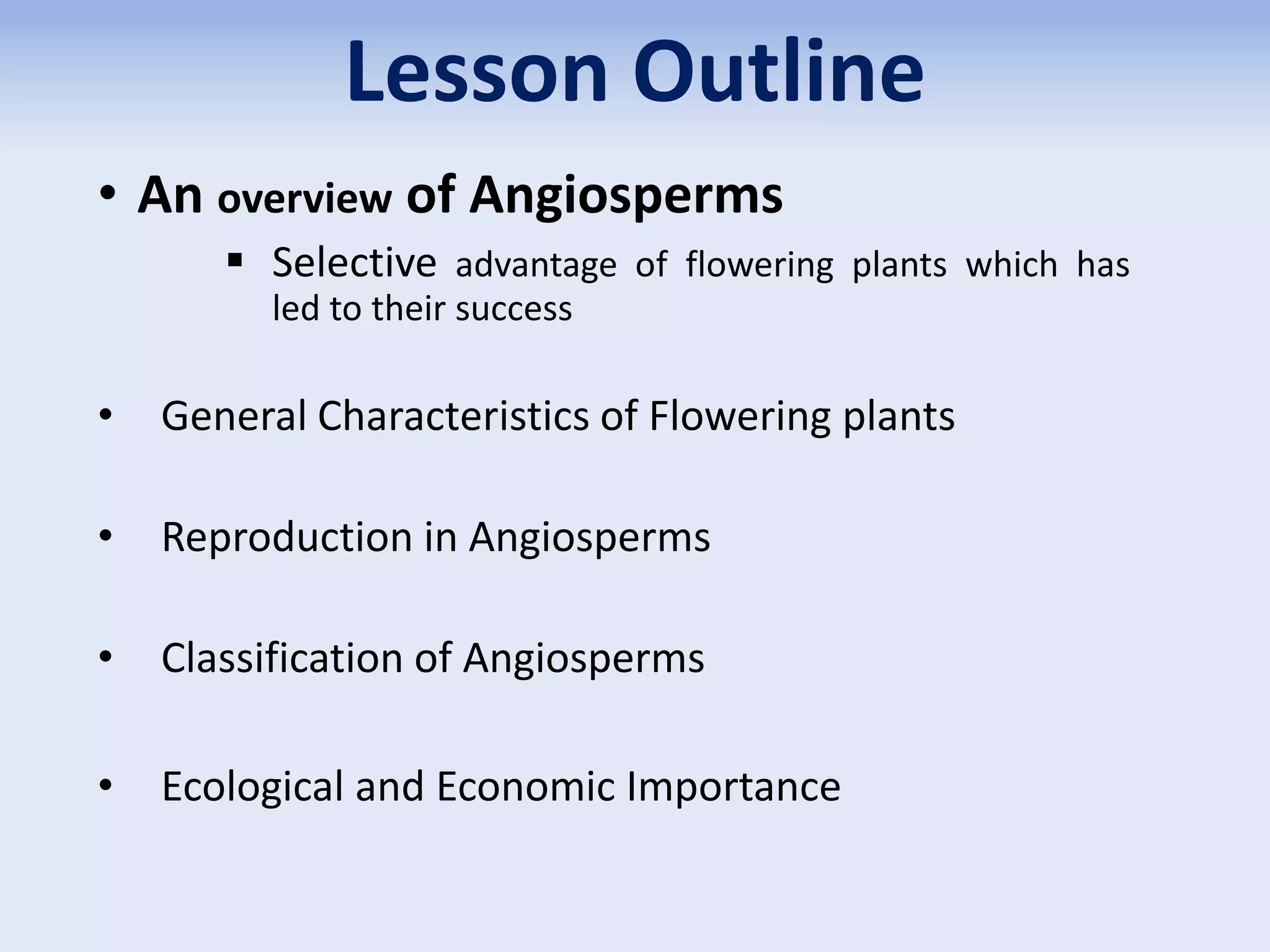 Angiosperms (flowering plants) PowerPoint Presentation | PPTX