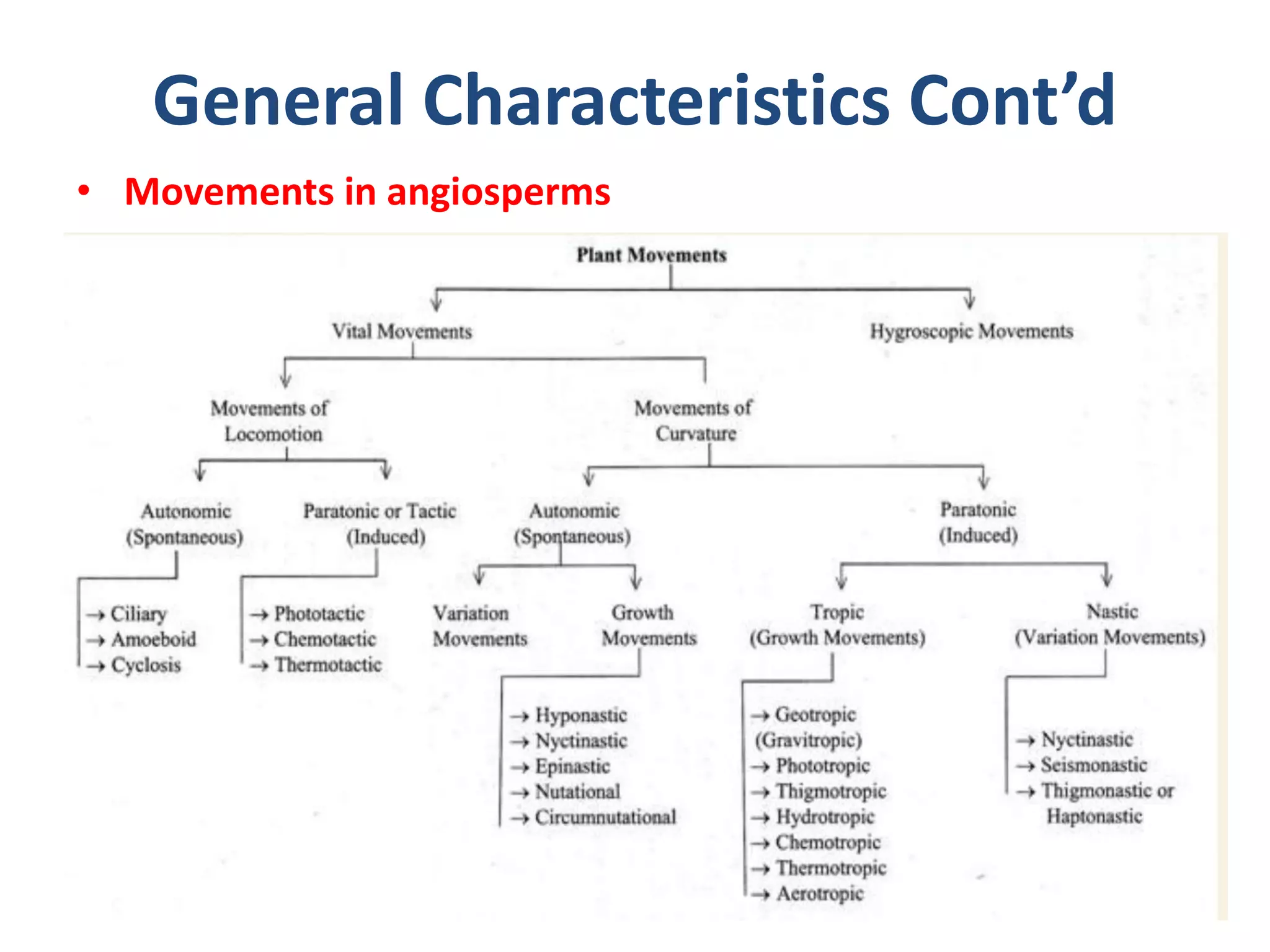 Angiosperms (flowering plants) PowerPoint Presentation | PPTX
