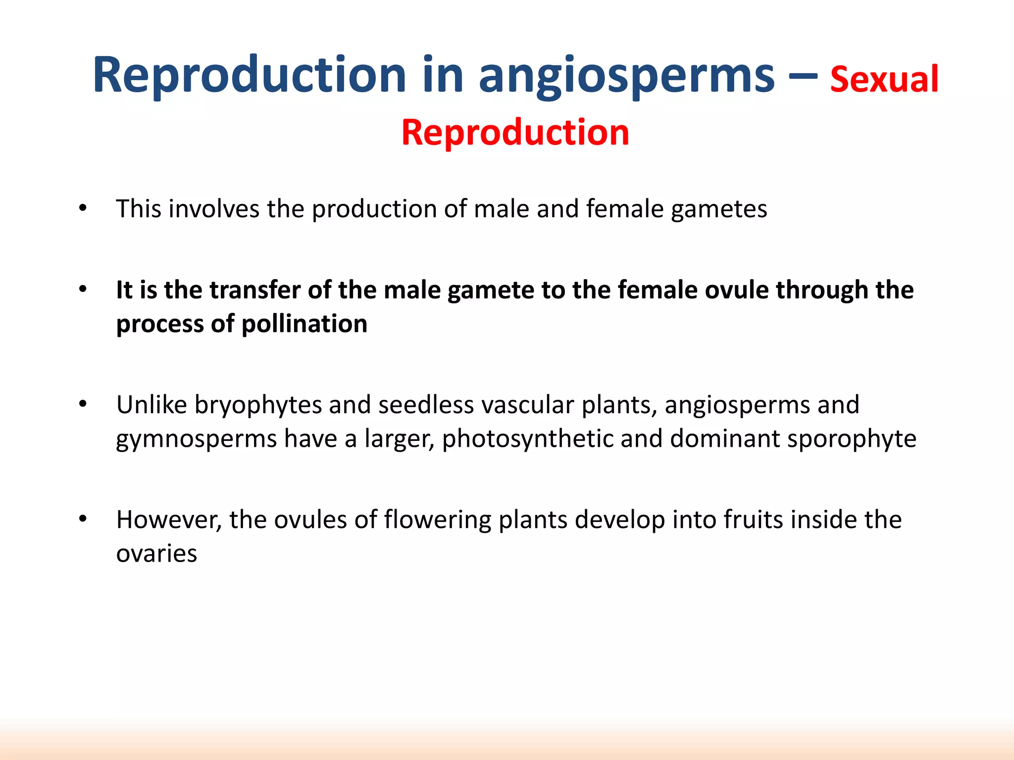 Angiosperms (flowering plants) PowerPoint Presentation | PPTX