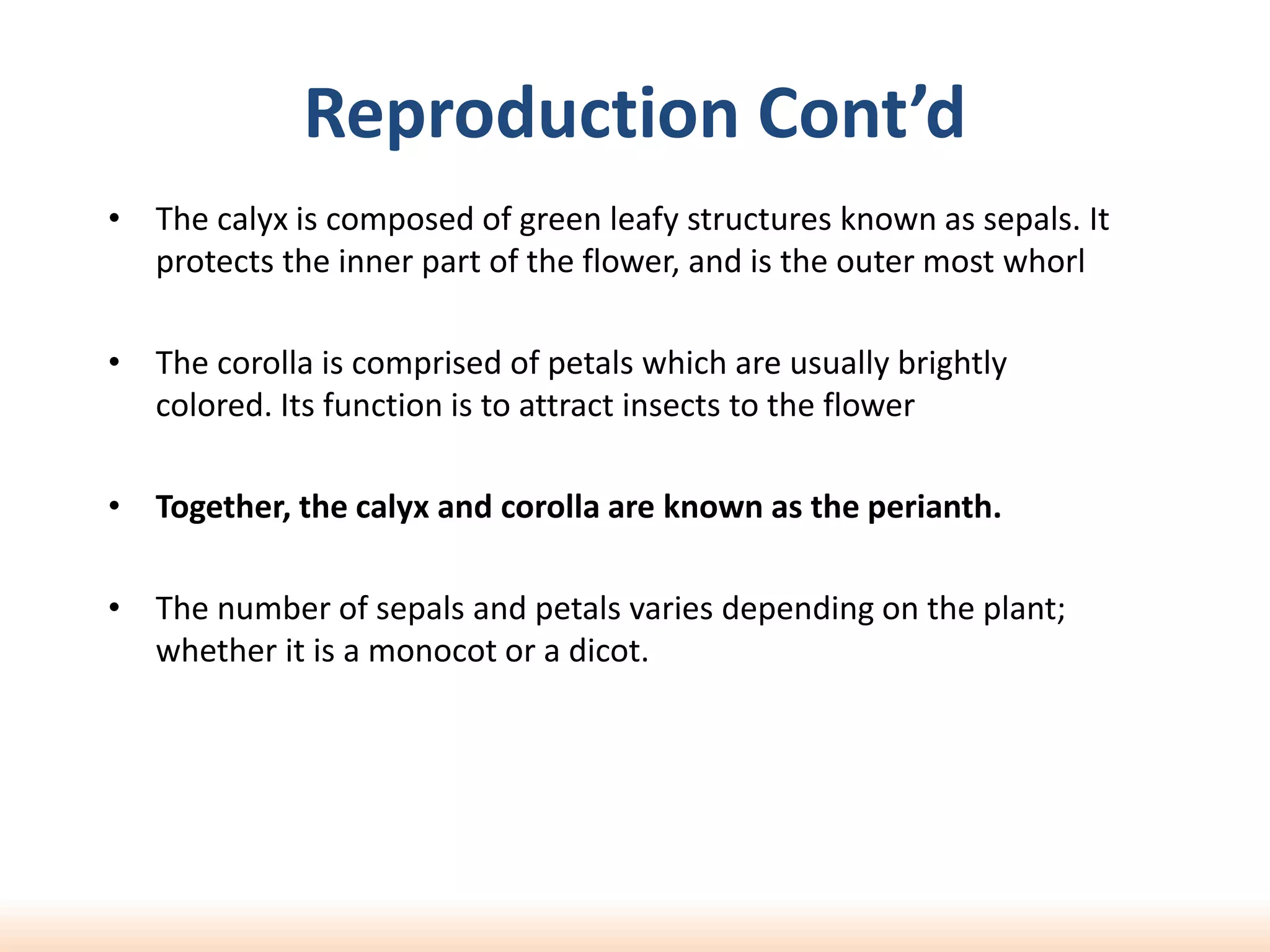 Angiosperms (flowering plants) PowerPoint Presentation | PPTX