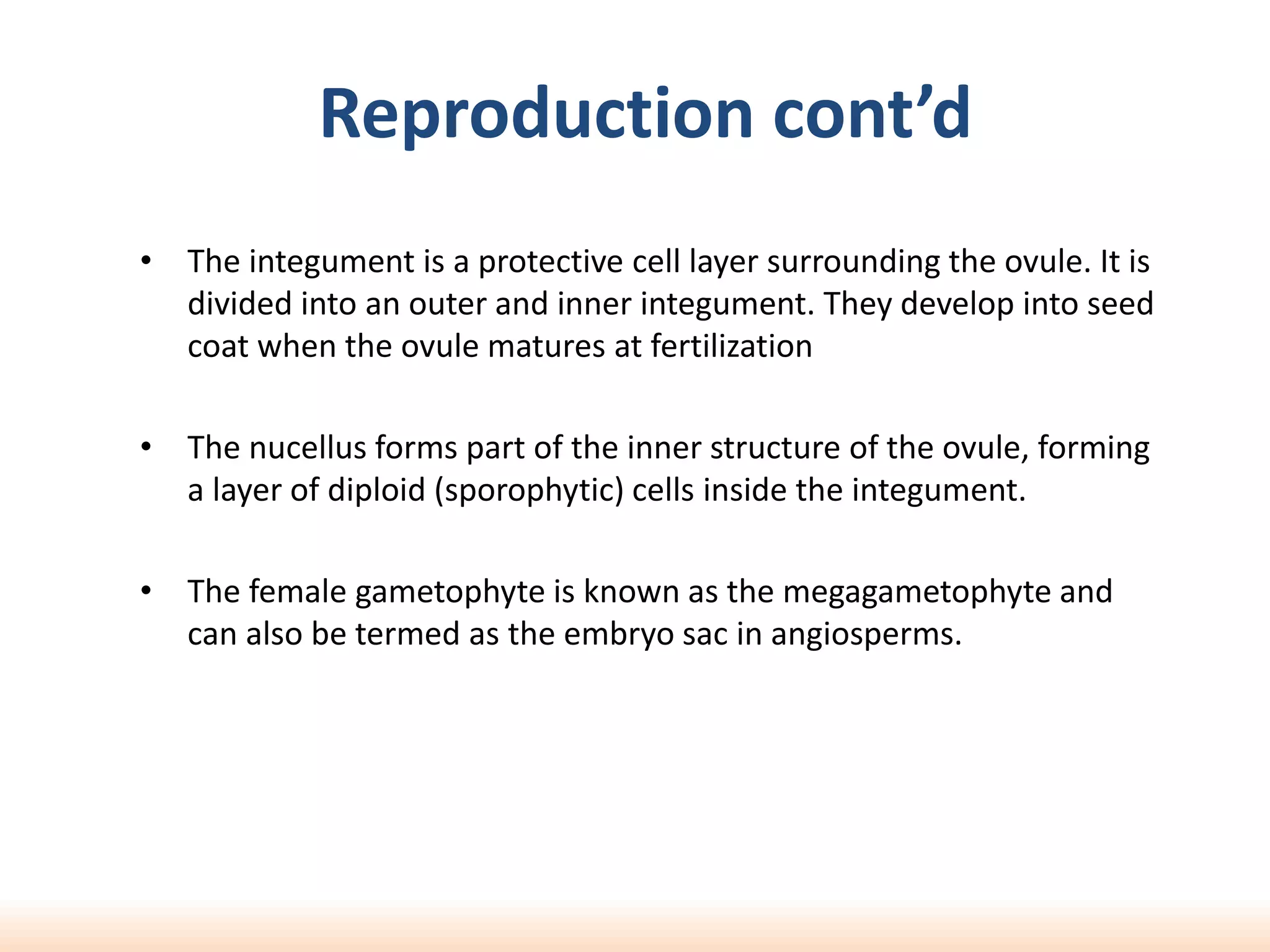 Angiosperms (flowering plants) PowerPoint Presentation | PPTX
