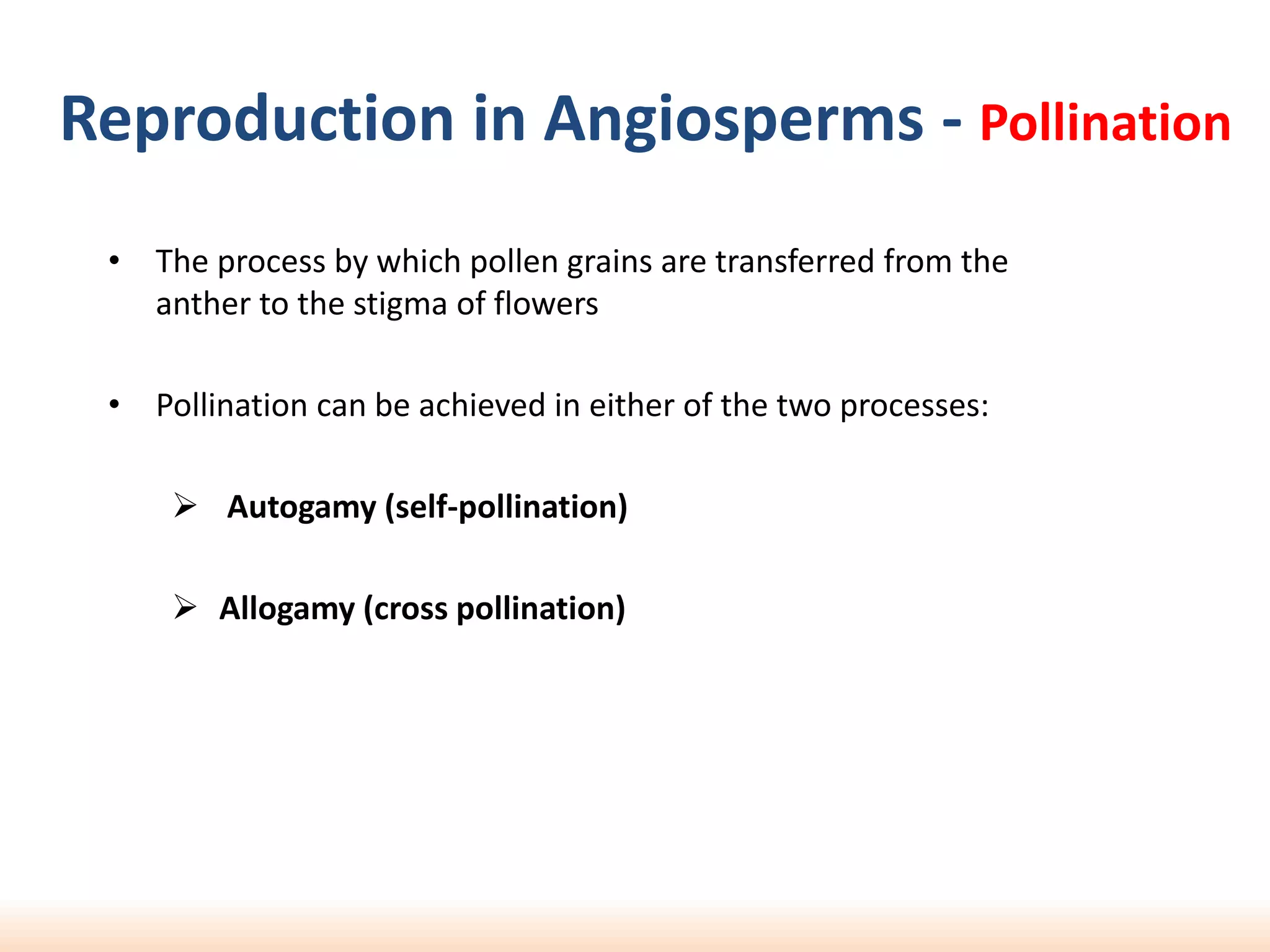 Angiosperms (flowering plants) PowerPoint Presentation | PPTX