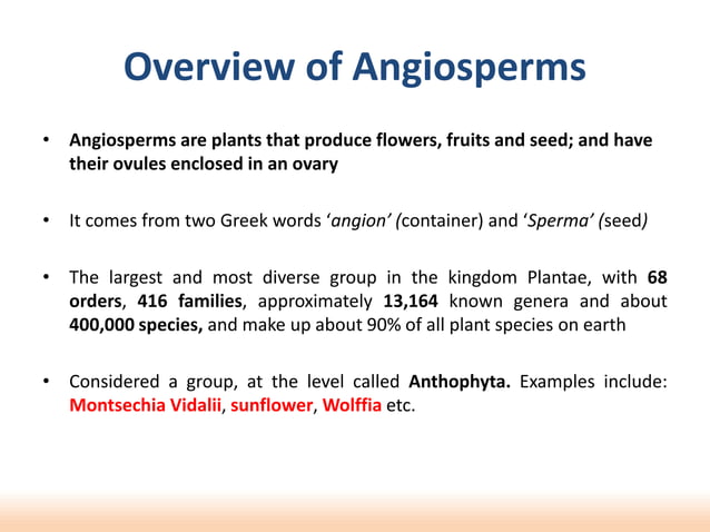 Angiosperms (flowering plants) PowerPoint Presentation | PPTX