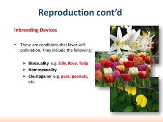 Angiosperms (flowering plants) PowerPoint Presentation | PPTX