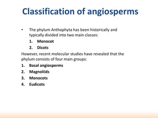Angiosperms (flowering plants) PowerPoint Presentation | PPTX