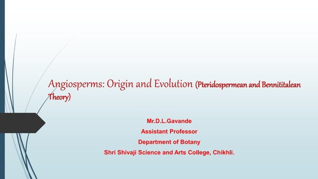 Angiosperms - origin and evolution ( pteridospermean and bennititalean theory) | PPTX