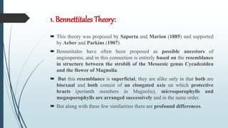 Angiosperms - origin and evolution ( pteridospermean and bennititalean ...