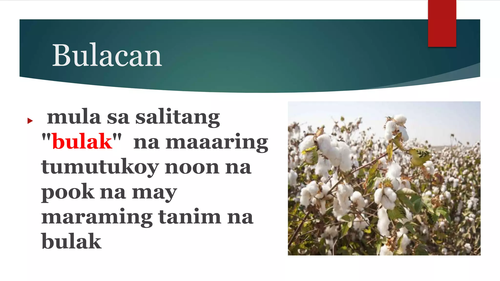Ang Kasaysayan ng mga Lalawigan at Rehiyon | PPTX