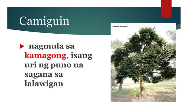 Ang Kasaysayan ng mga Lalawigan at Rehiyon | PPTX