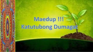 Ang katutubong dumagat | PPTX