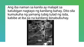 Ang Komunidad ng ating mga Ninuno grade 2.pptx