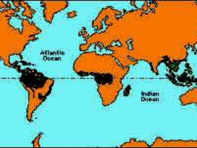 Ang labanan ni magellan at lapu lapu | PPTX