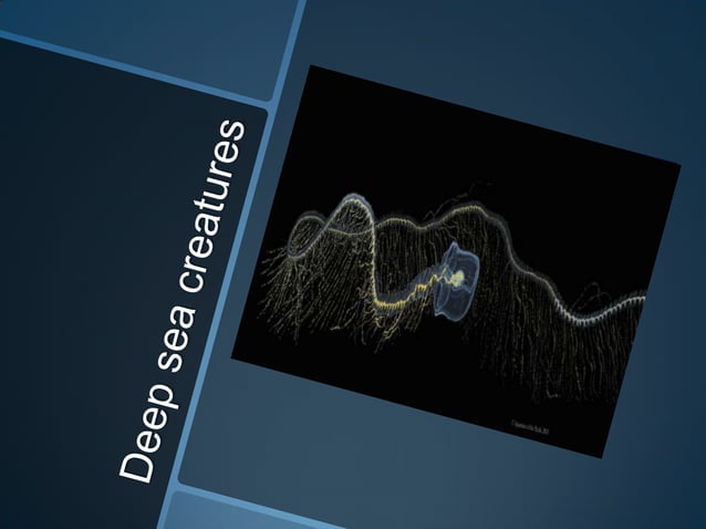 Deep-sea bottom trawling | PPTX