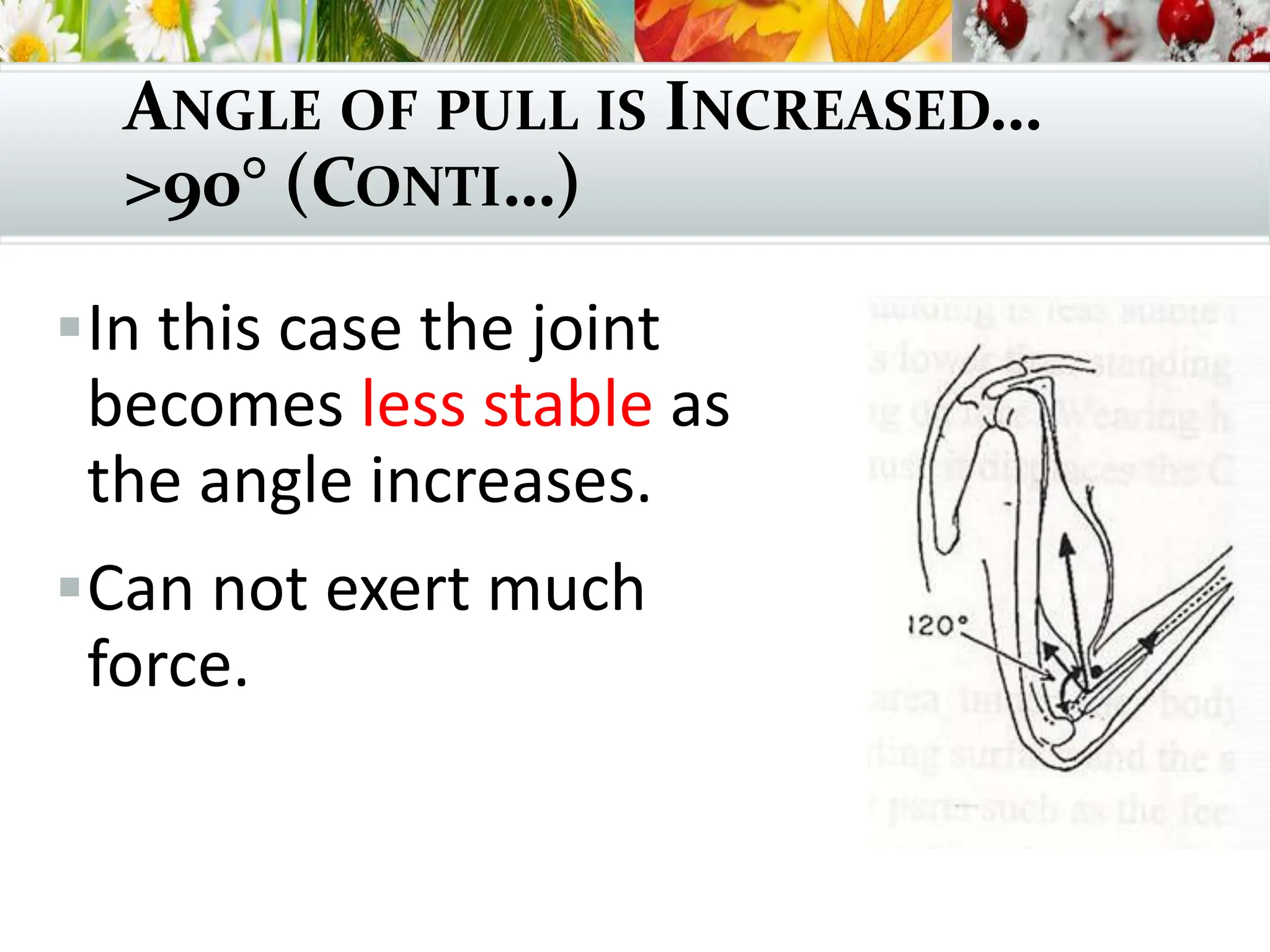 Angle-or,,,,,-Pull-of-Muscleexercise therapy.pptx
