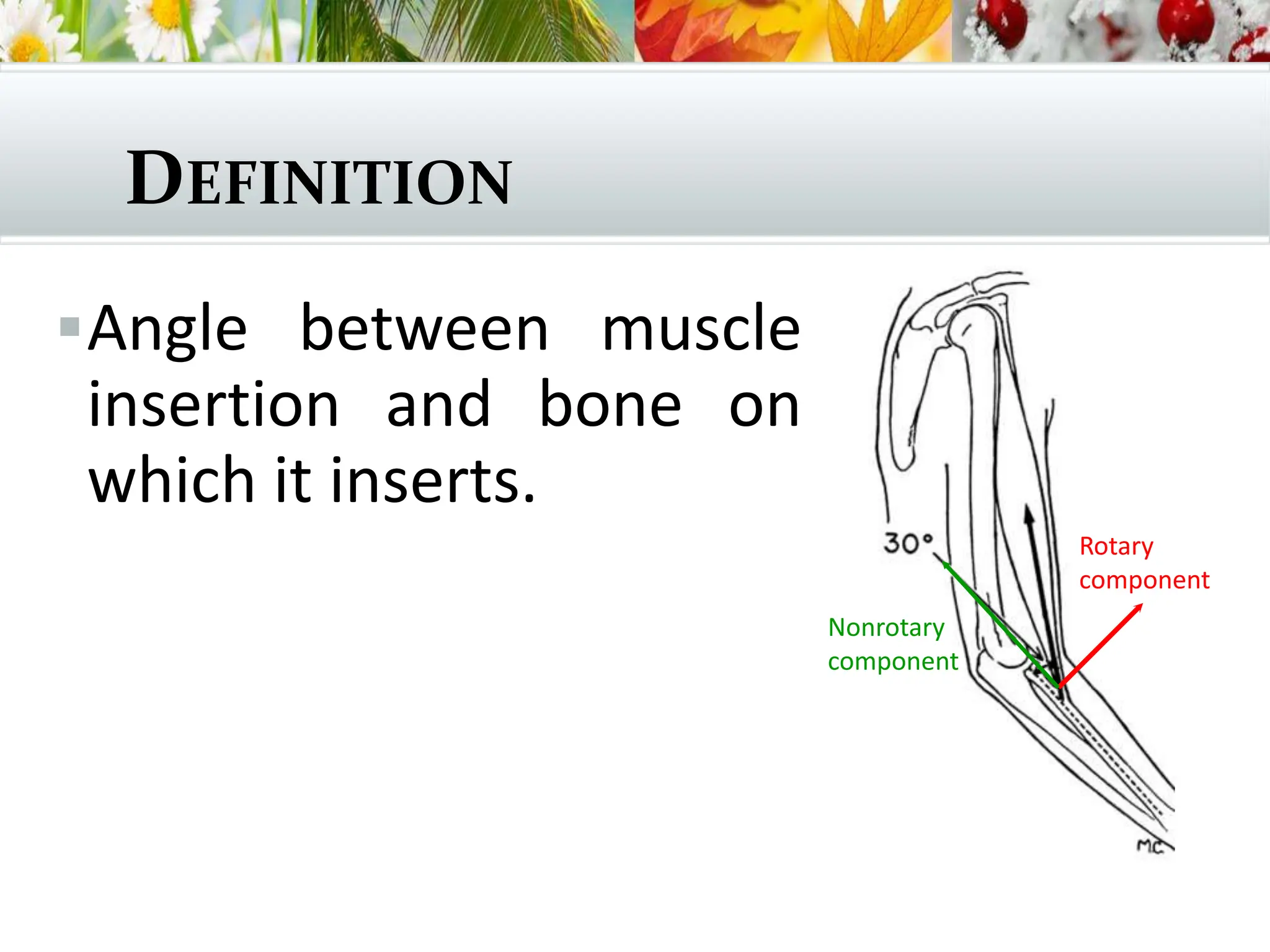 Angle-or,,,,,-Pull-of-Muscleexercise therapy.pptx