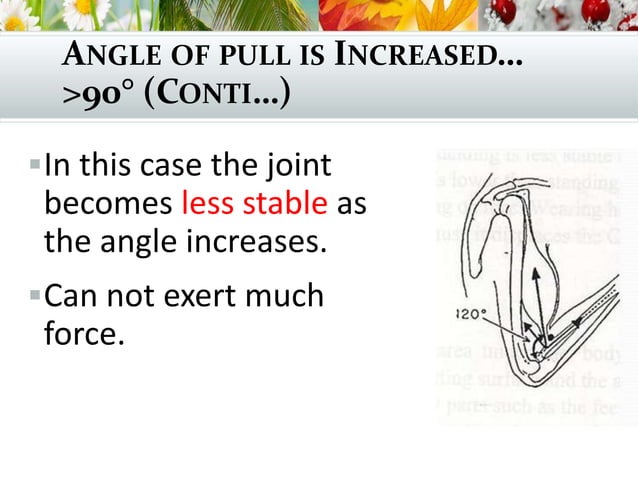 Angle-or,,,,,-Pull-of-Muscleexercise therapy.pptx