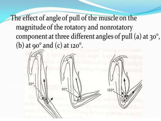 Angle-or,,,,,-Pull-of-Muscleexercise therapy.pptx