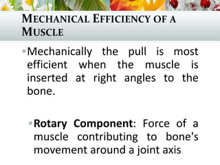Angle-or,,,,,-Pull-of-Muscleexercise therapy.pptx