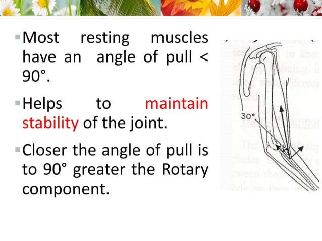 Angle-or,,,,,-Pull-of-Muscleexercise therapy.pptx