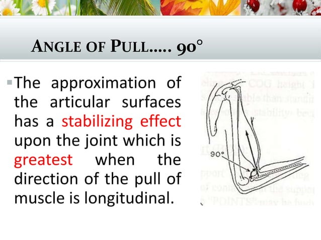 Angle-or,,,,,-Pull-of-Muscleexercise therapy.pptx