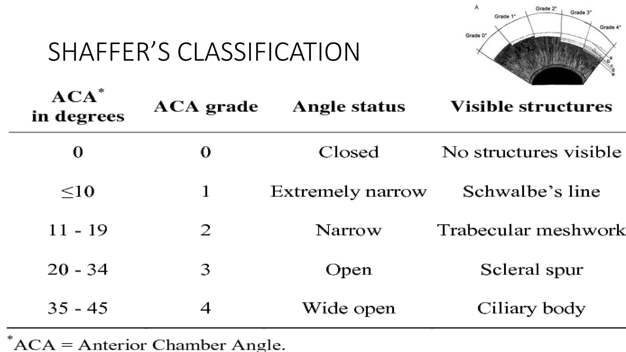 ANGLE ANATOMY | PPTX
