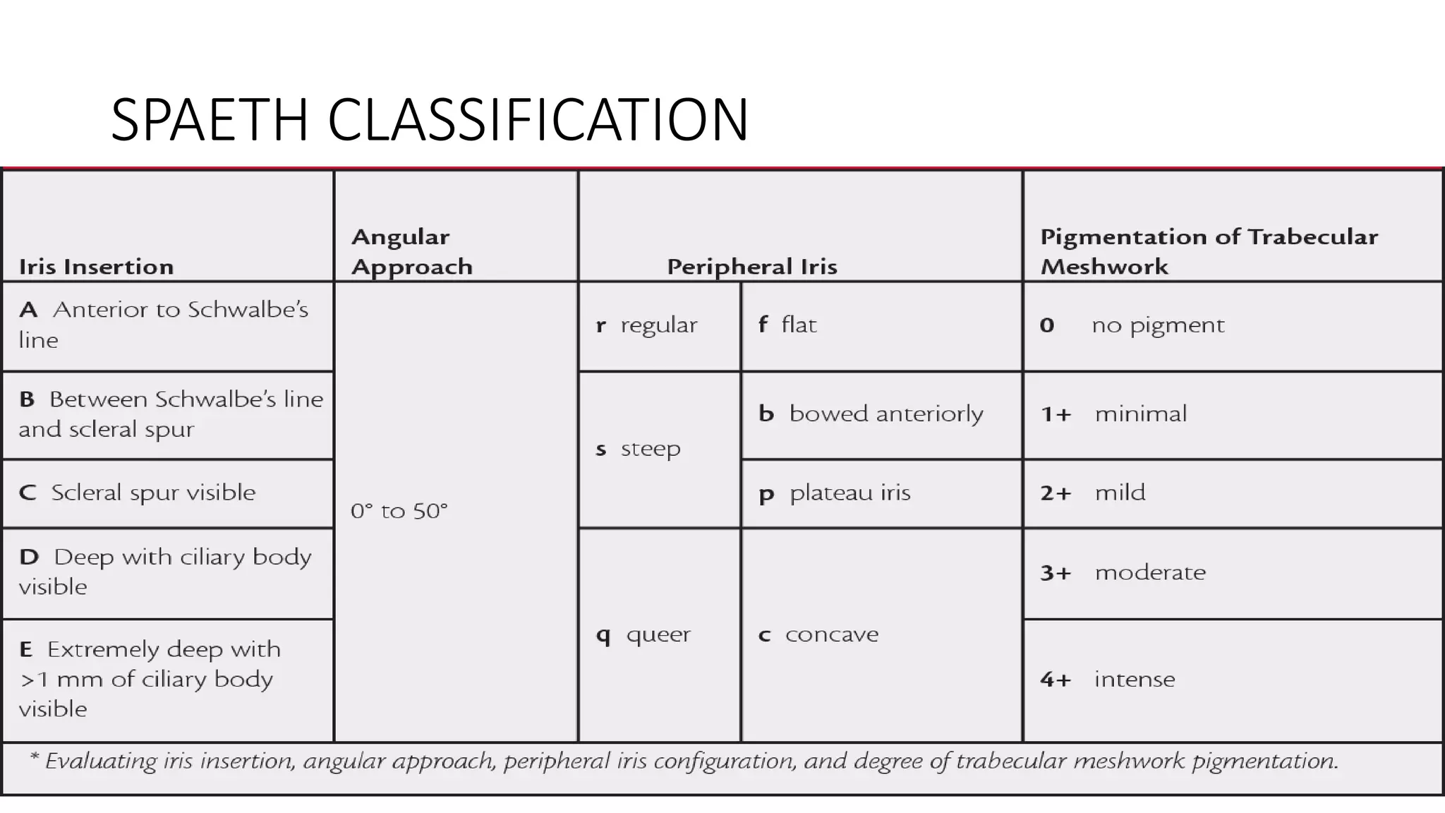 ANGLE ANATOMY | PPTX