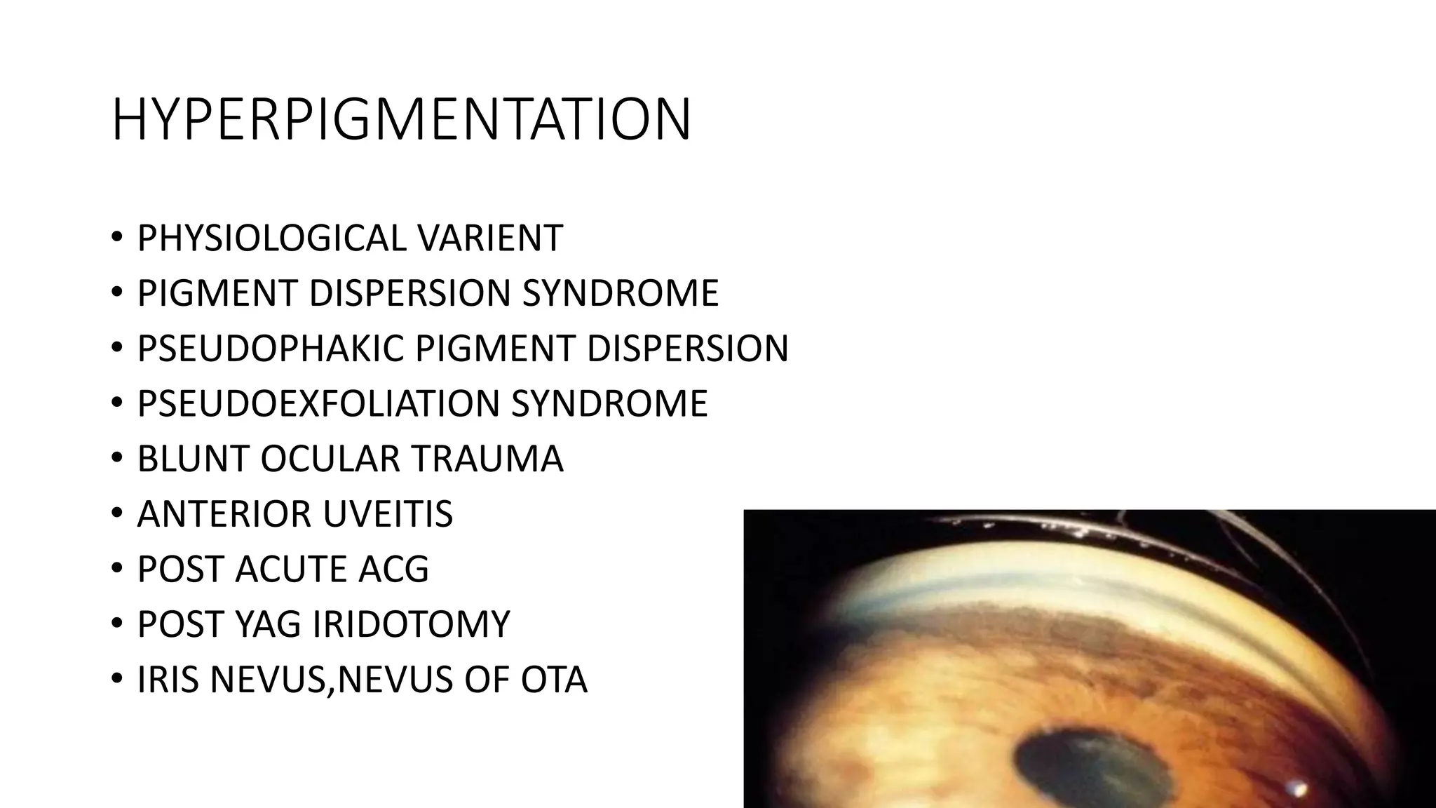 ANGLE ANATOMY | PPTX