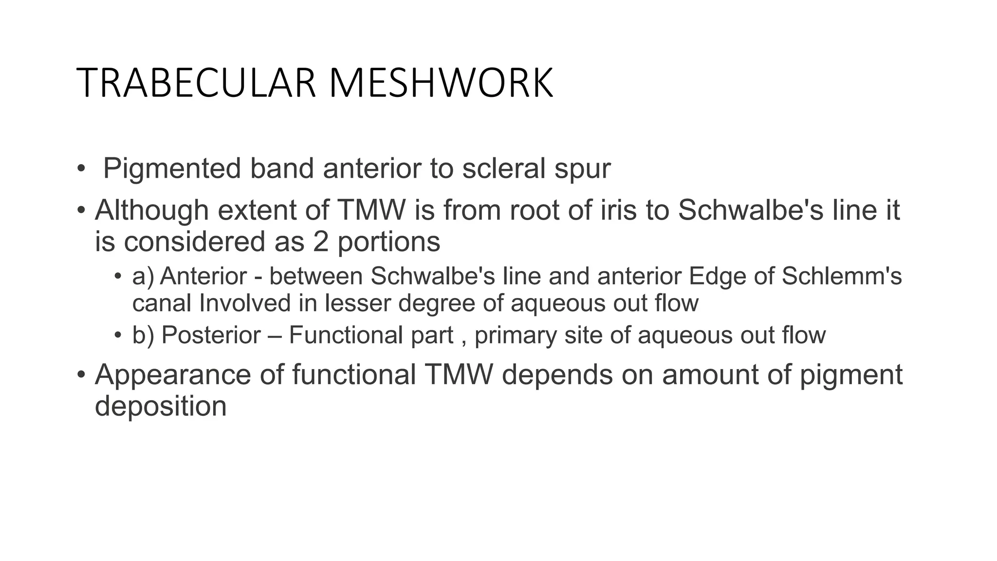 ANGLE ANATOMY | PPTX