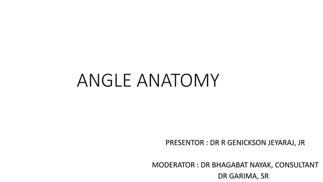 ANGLE ANATOMY | PPTX | Eye and Vision Conditions | Diseases and Conditions