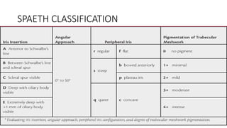 ANGLE ANATOMY | PPTX