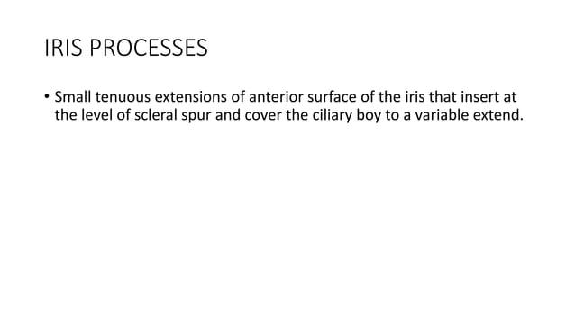 ANGLE ANATOMY | PPTX | Eye and Vision Conditions | Diseases and Conditions