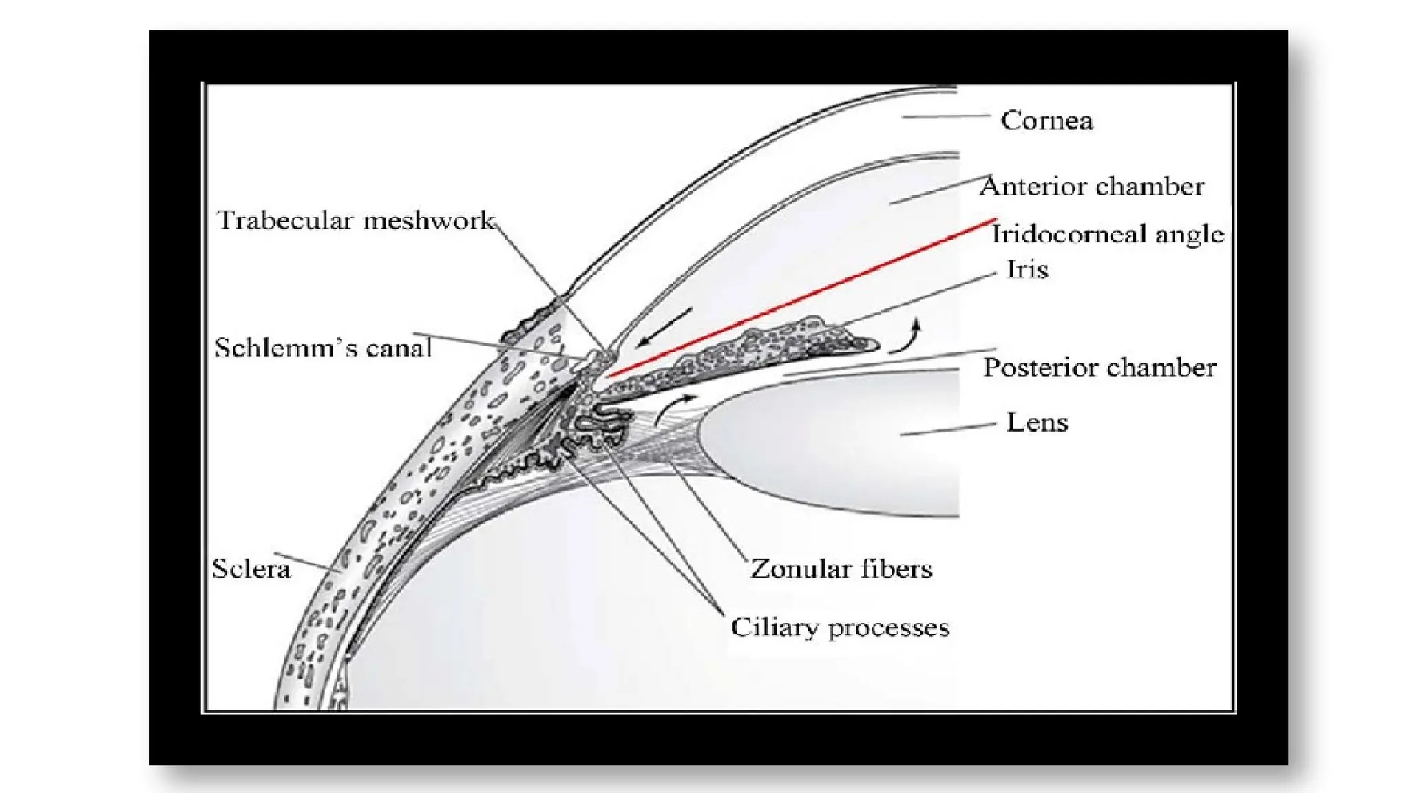 Angle Closure ophthalmology for medical students | PPT