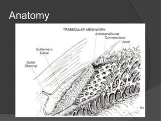 Angle Closure Glaucoma | PPTX