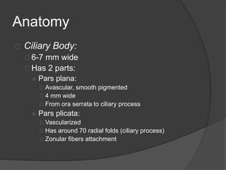 Angle Closure Glaucoma | PPTX