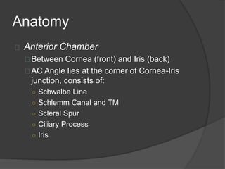 Angle Closure Glaucoma | PPTX