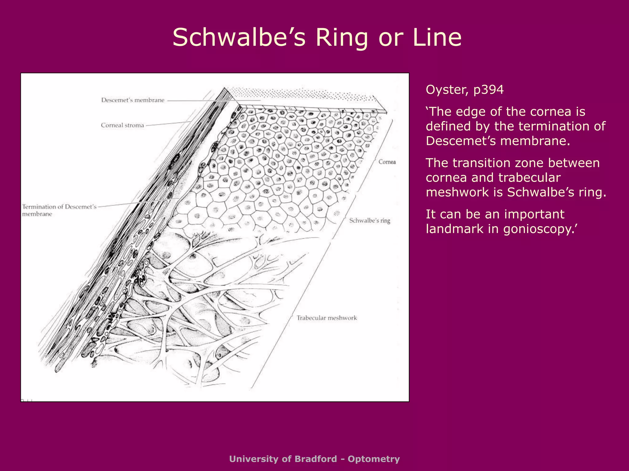 Angle drainage | PPT