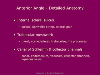 Angle drainage | PPT