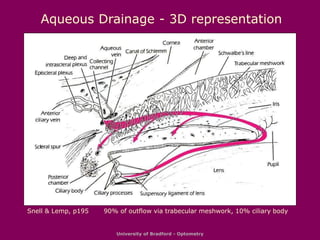 Angle drainage | PPT