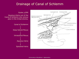 Angle drainage | PPT