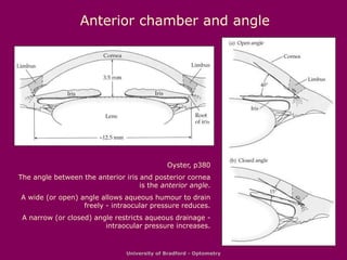 Angle drainage | PPT