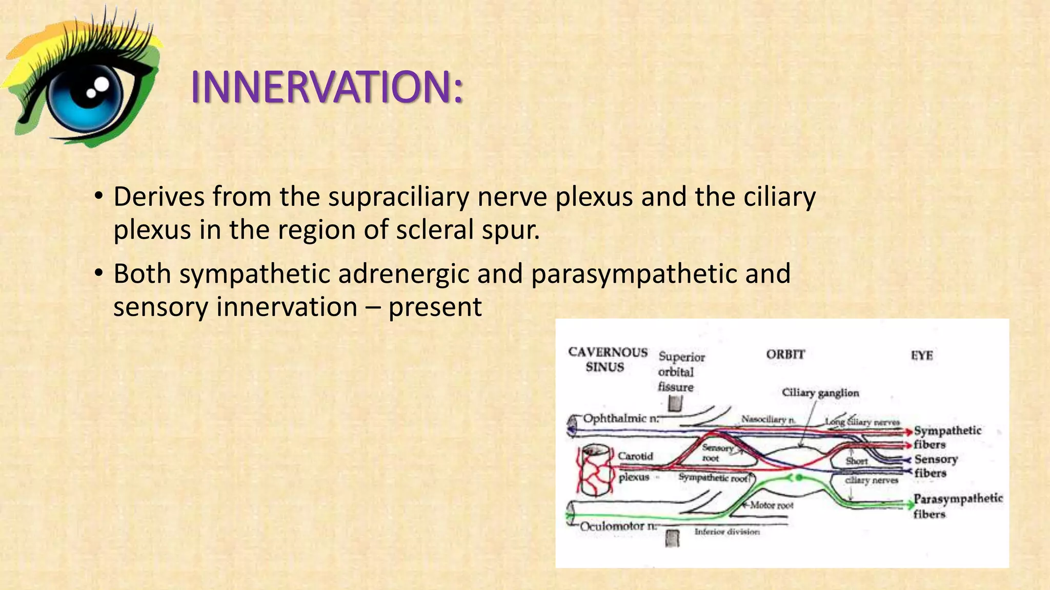 Angle of anterior chamber | PPTX